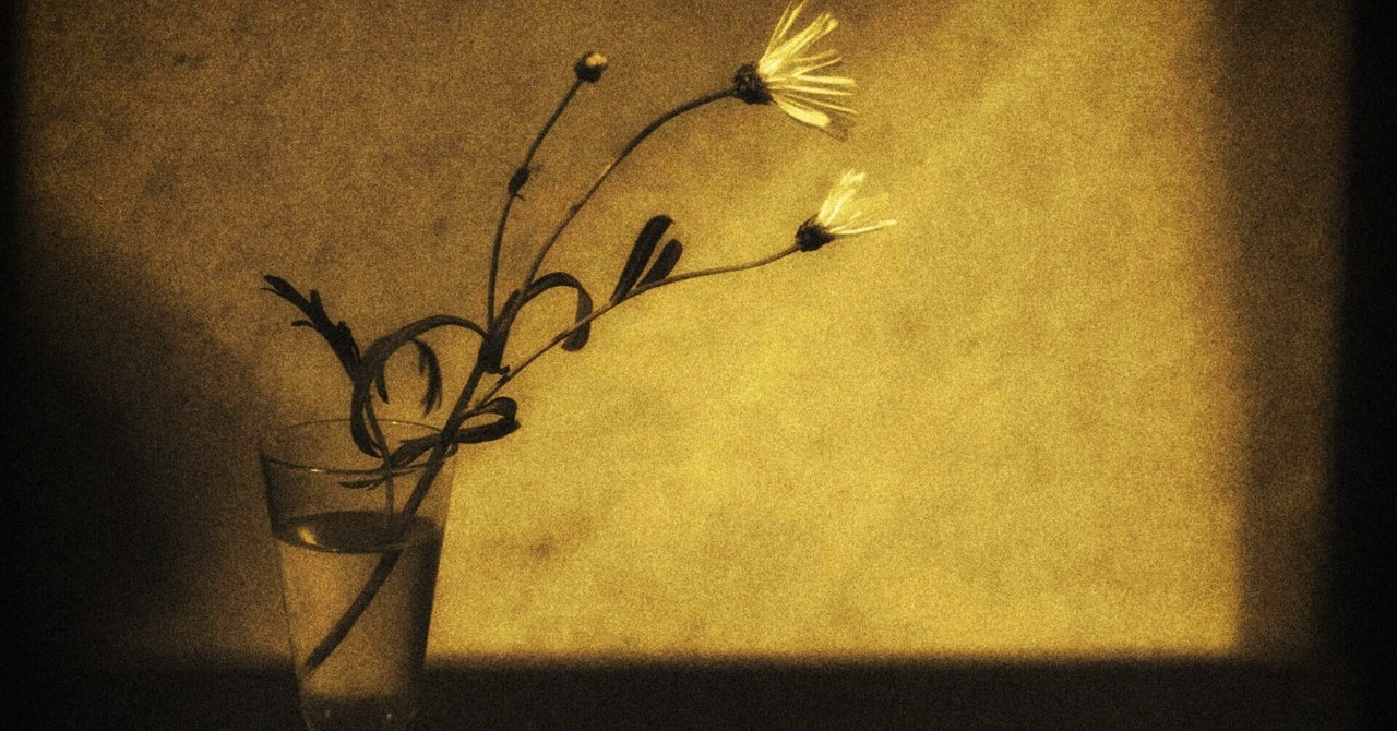 優しさ｜町本修一（Shuichi Machimoto）