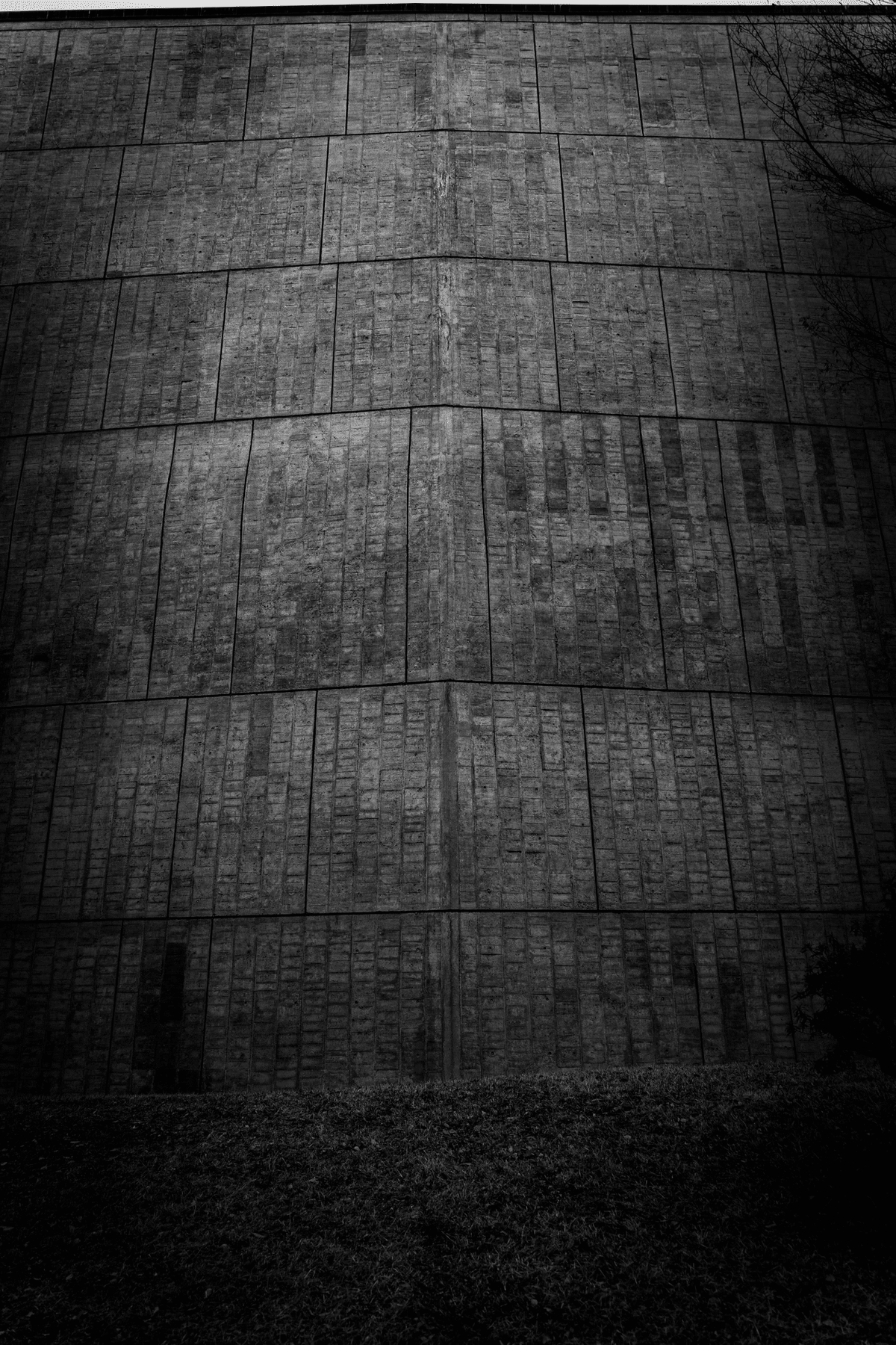 日記と珈琲_3月の裏側｜米谷隆佑｜Yoneya Ryusuke