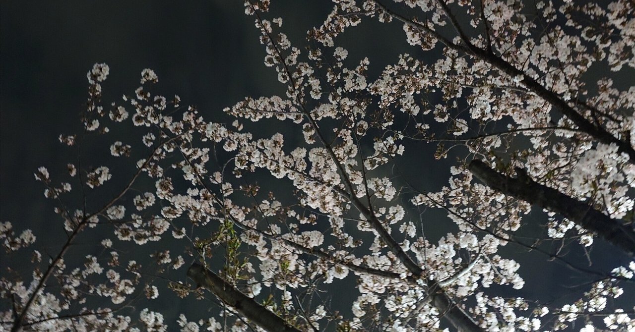 好きなもの｜zizel