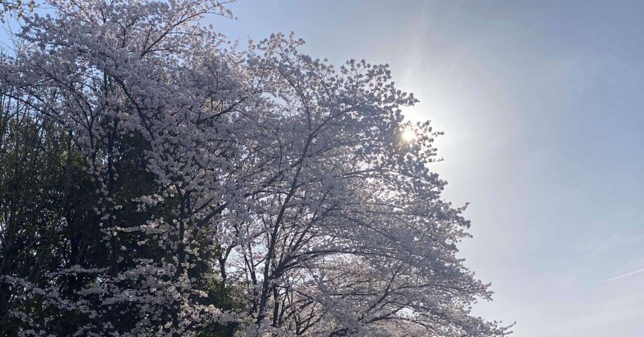 2024/04/11 合わない｜Pf_tacos