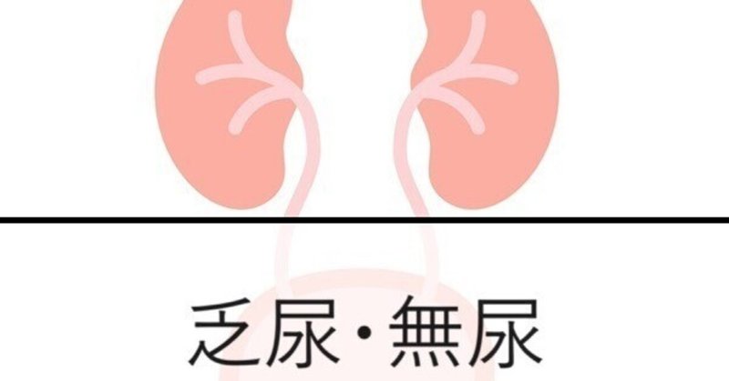 【完全公開はnoteだけ】もっと楽々コピペで立案!乏尿・無尿の看護計画|なんでなんだナーシング30 ~看護師・看護学生のための超まとめサイト~