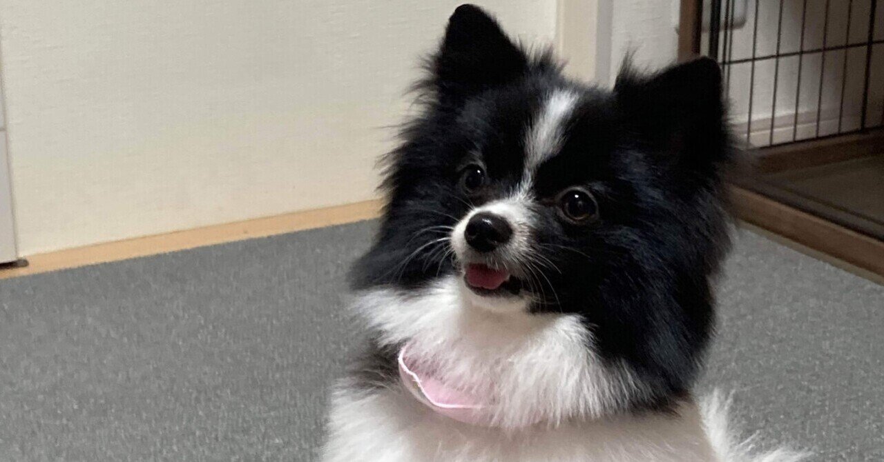 はじめまして｜RuRu