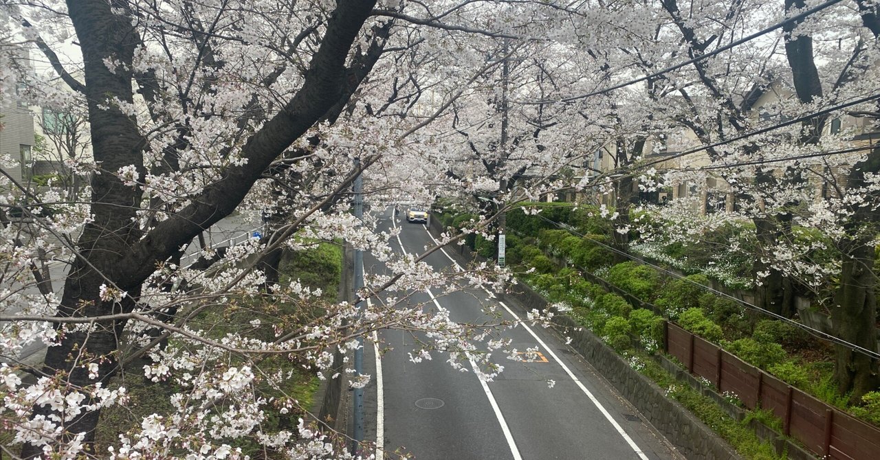 重粒子線治療の保険適用｜Shuri_0220