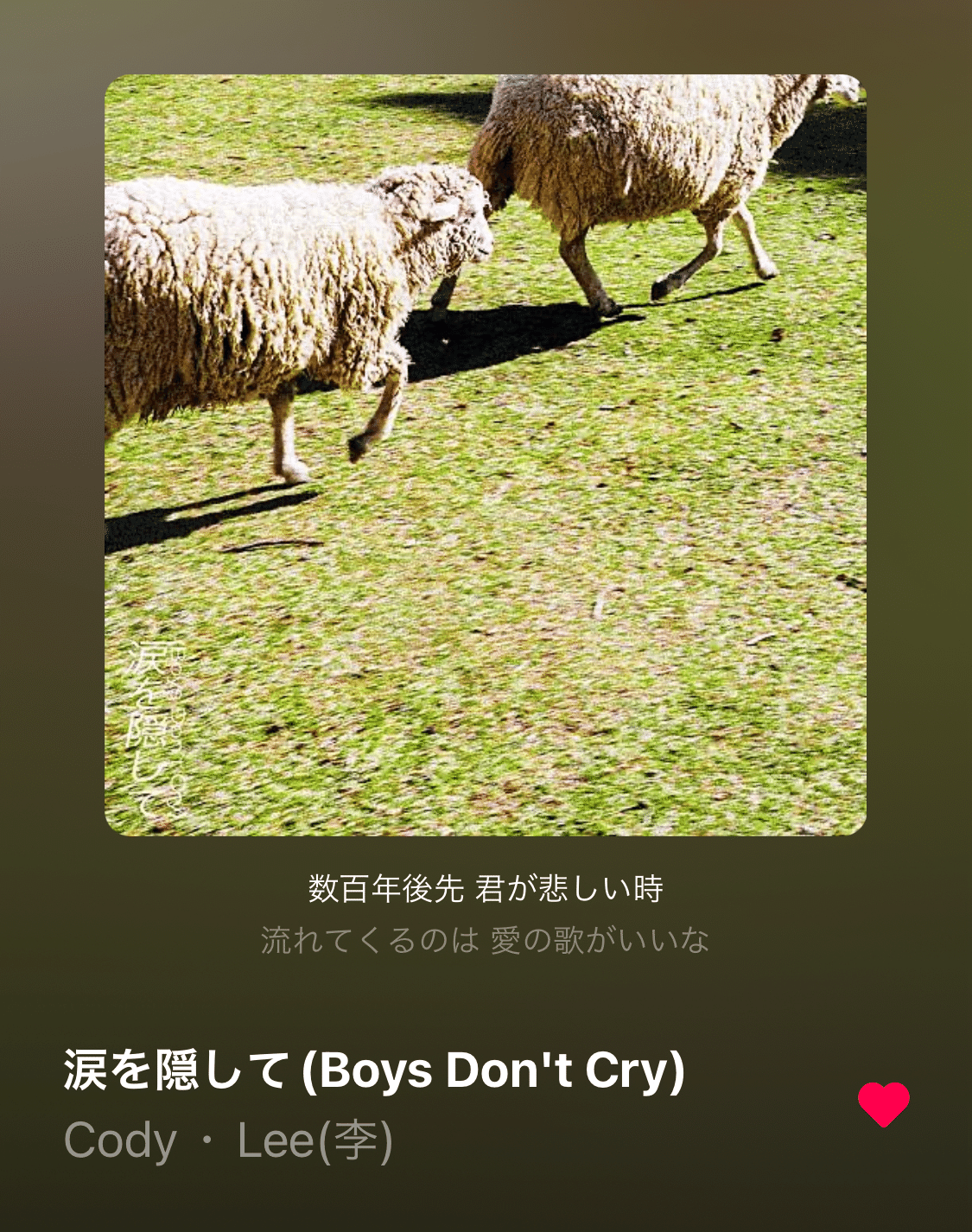 ☁️ 🌱 ｜Lily_2525