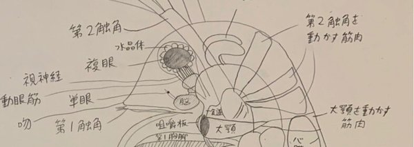 ピコファラド pico Farad｜note