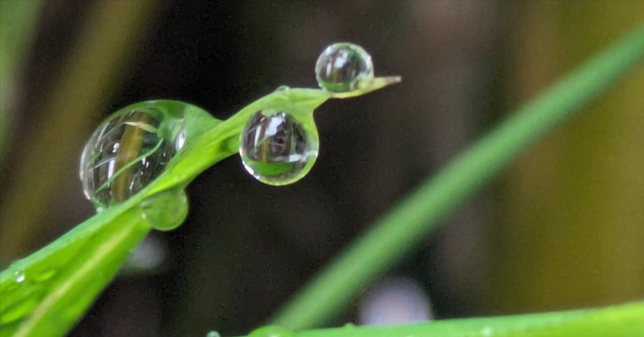 笑ったり泣いたりの動画｜ichiro70