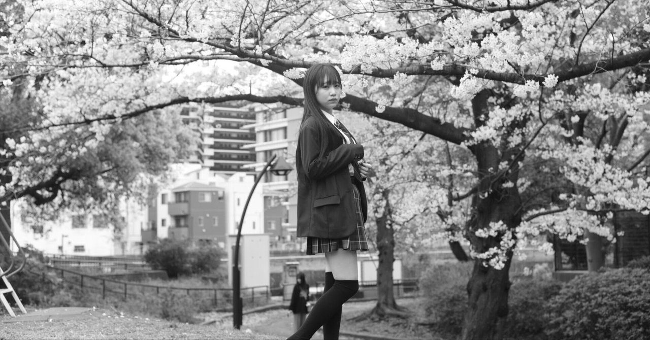 Leica M9で使うべきSDカードの話。（加筆あり）｜naoyuki sasaki