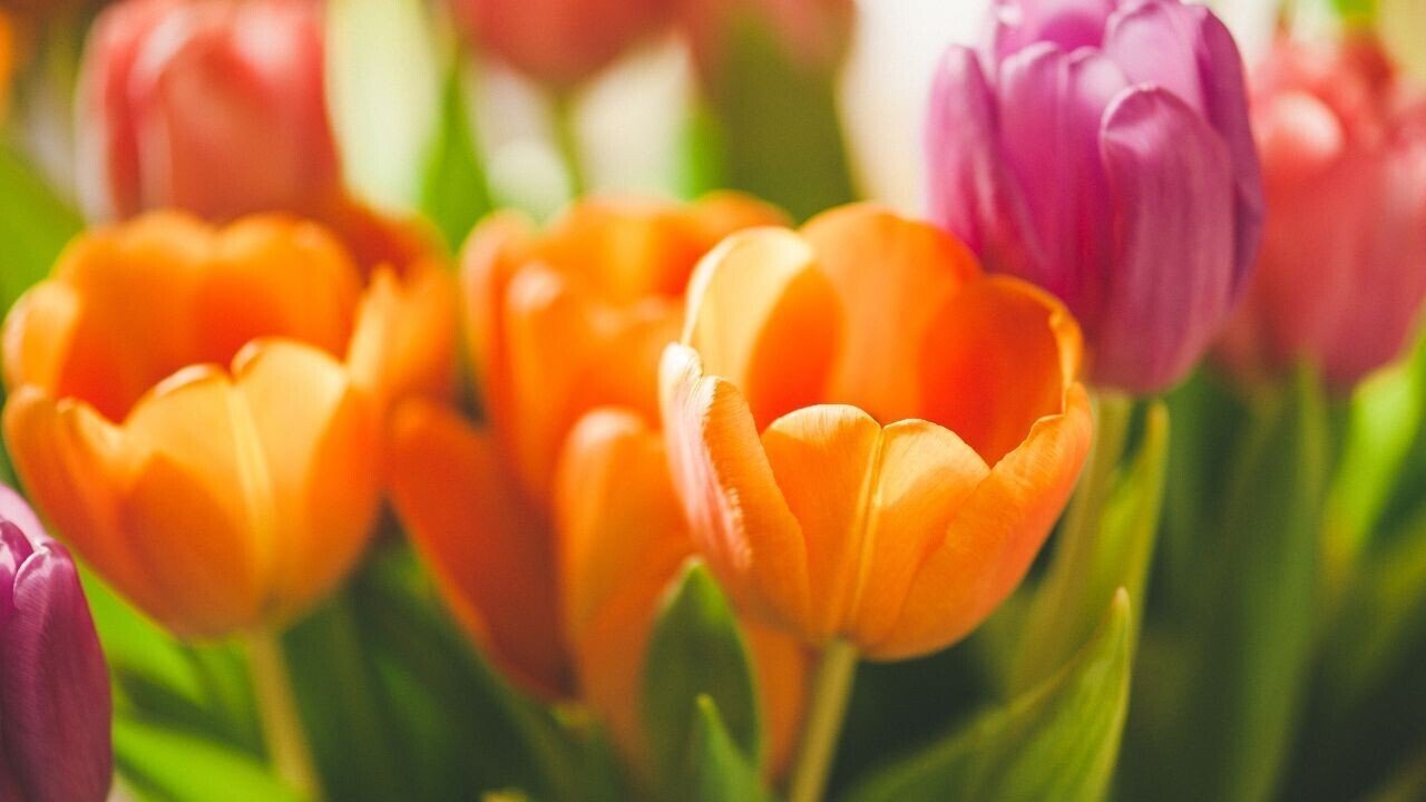 おはようございます。遠隔参拝を成功させる秘訣とは？！素直な心・・ではないでしょうか？素直で楽しく、そして軸がある感じがベストですね。｜Sydney Kaoru