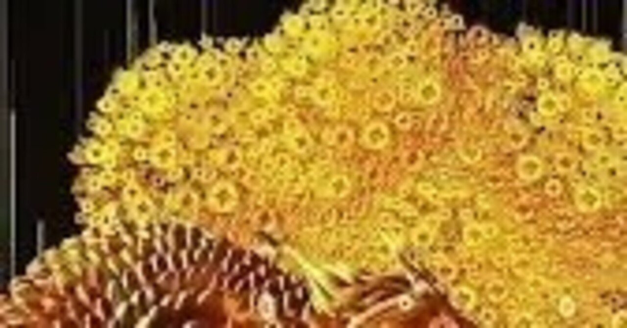 平塚2R15:50🔥🔥🔥｜#ゴロリ #競輪予想 #万車 #開運 #金運