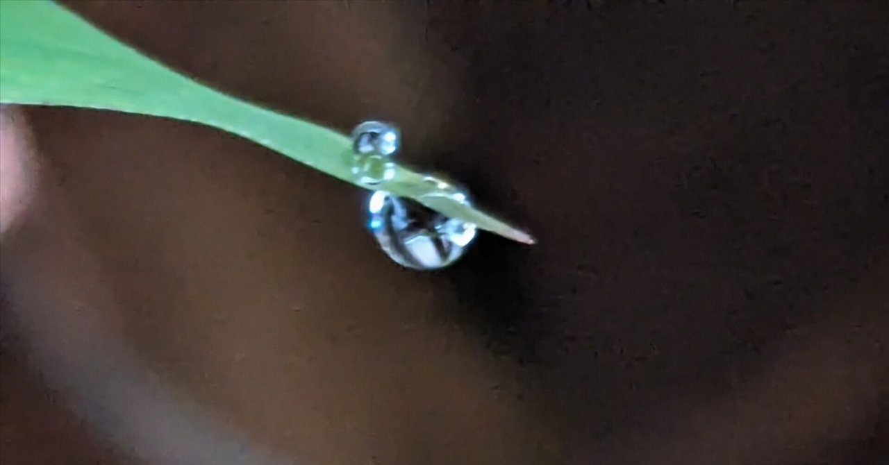 笑ったり泣いたりの動画｜ichiro70