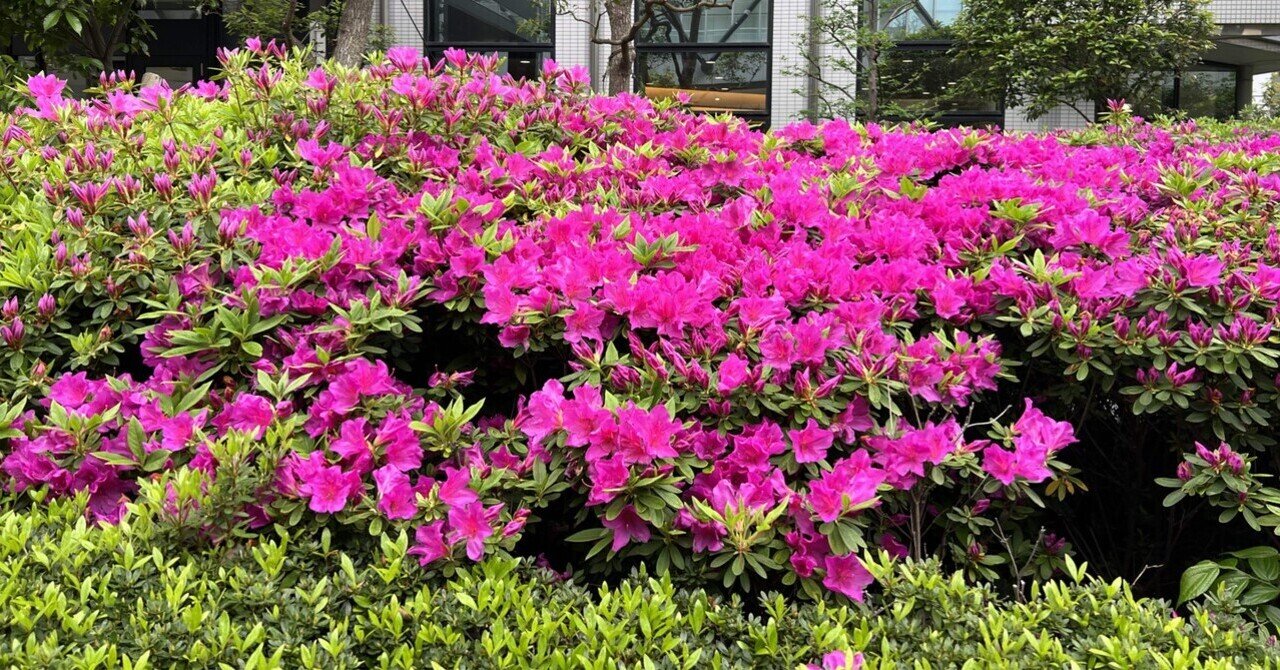 北斎の真髄｜daishiro_okada