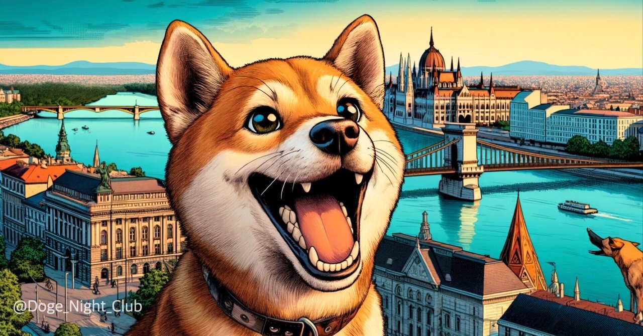 Tracking the Financial Trajectory of DOGECOIN: From Joke to Investment ...