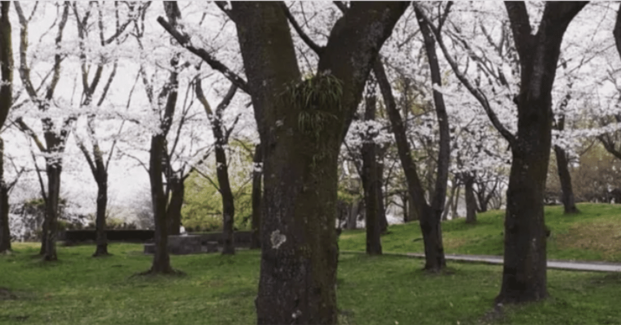 あなた自身の緑の木々、花、植物は人生を豊かにします。｜Andrea_Tsuyoshi_