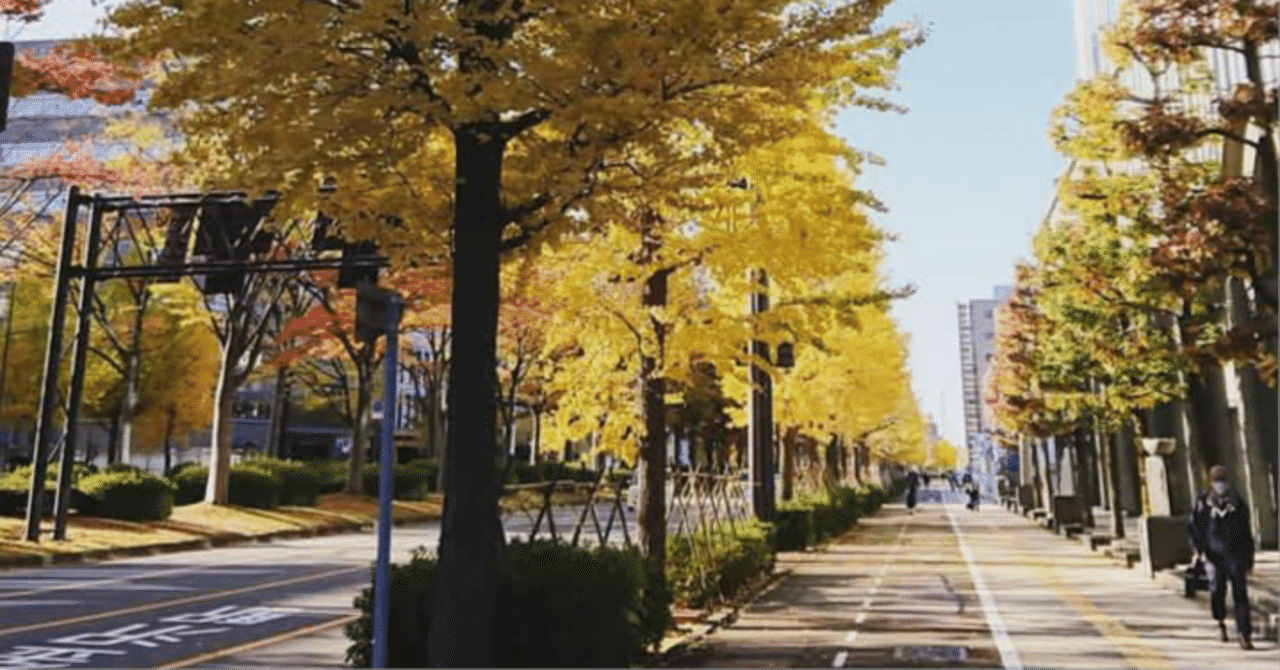 美しい景色から新しい一日が始まる｜Andrea_Tsuyoshi_