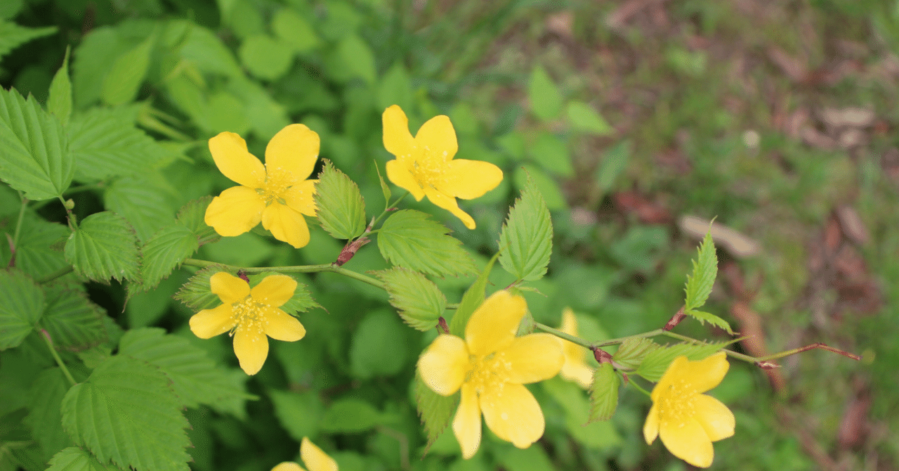 機器購入｜blue06_2022