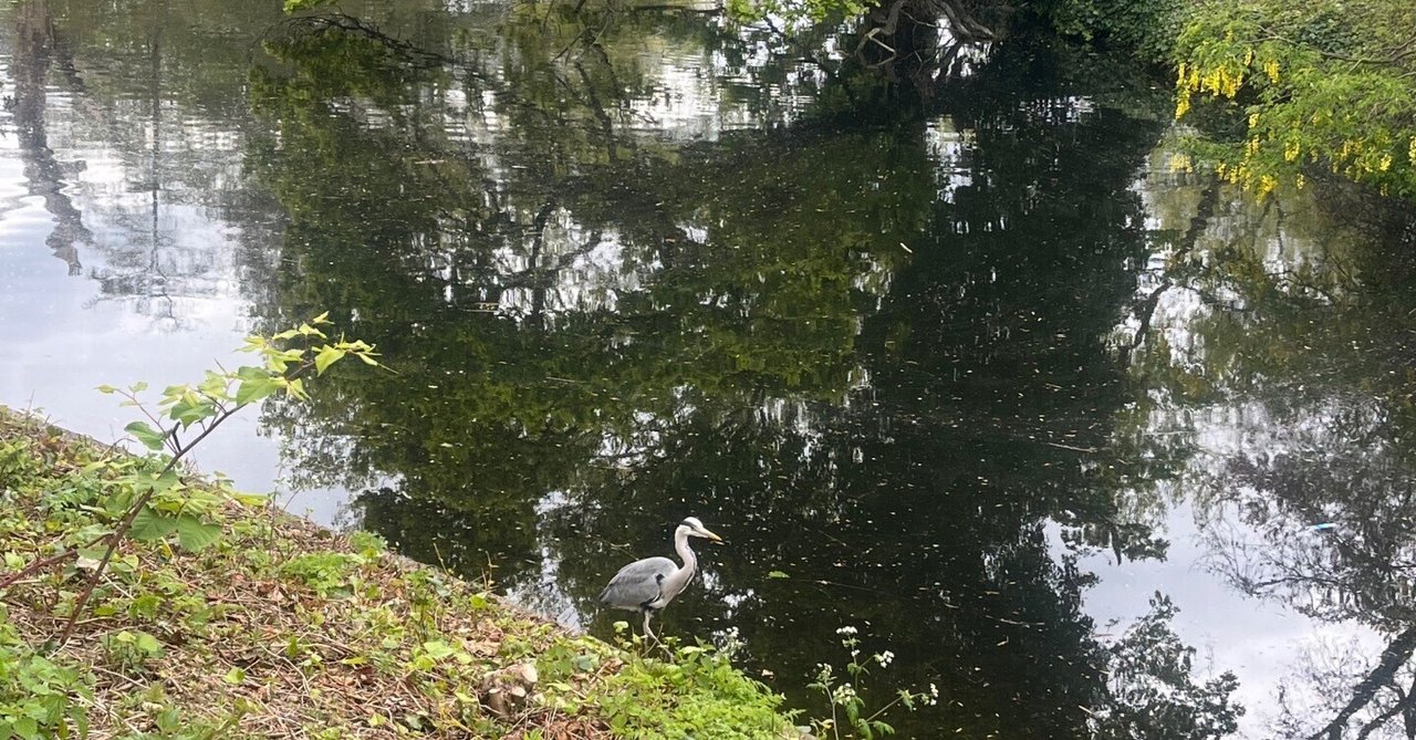 24Apr24 本日のロンドン｜East Haruko