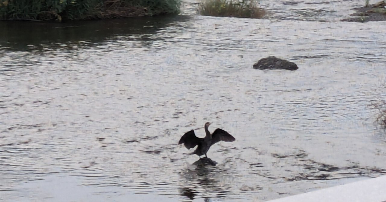 3巻264番~作者~作者 柿本人麻呂｜ichiro70