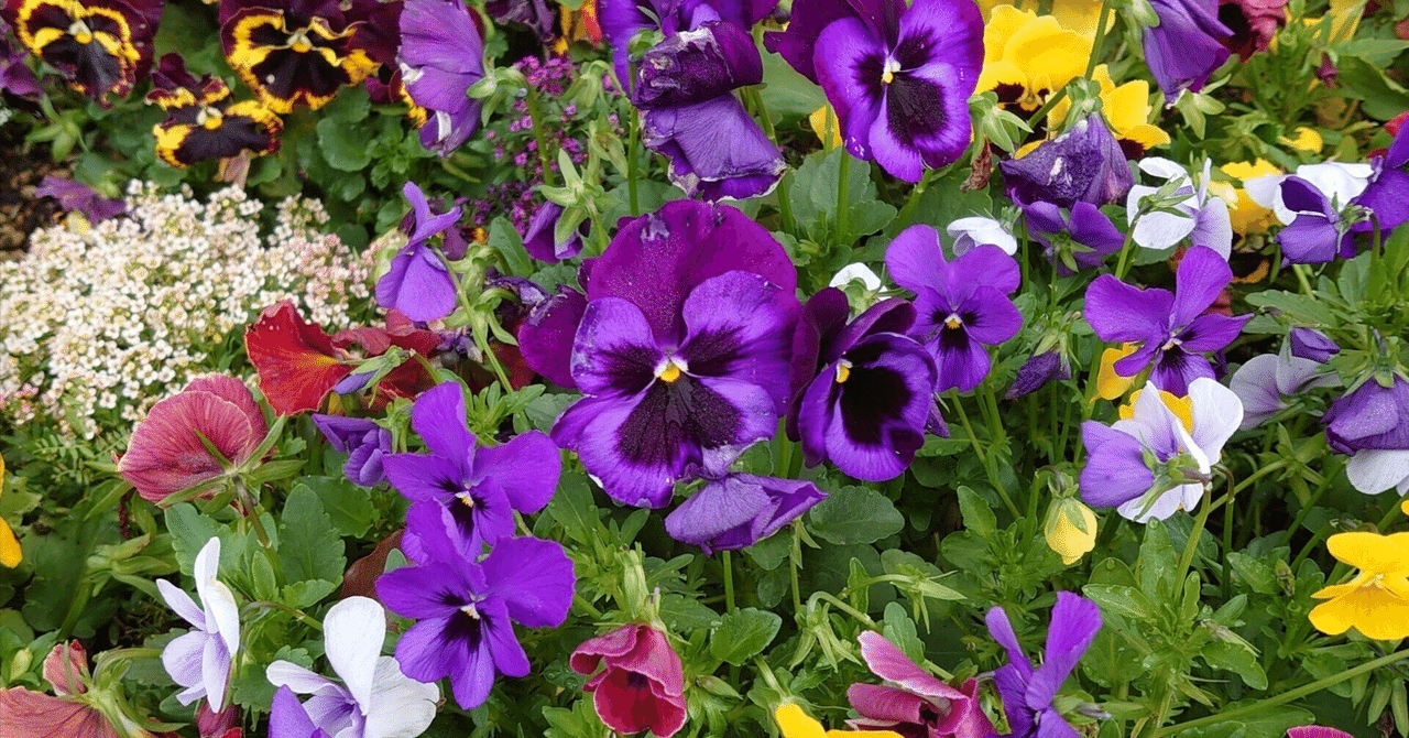 GLORIOUS WORD DEVOTIONALBY PASTOR BERNARD EFA APRIL 25, 2024THE DEFEAT ...