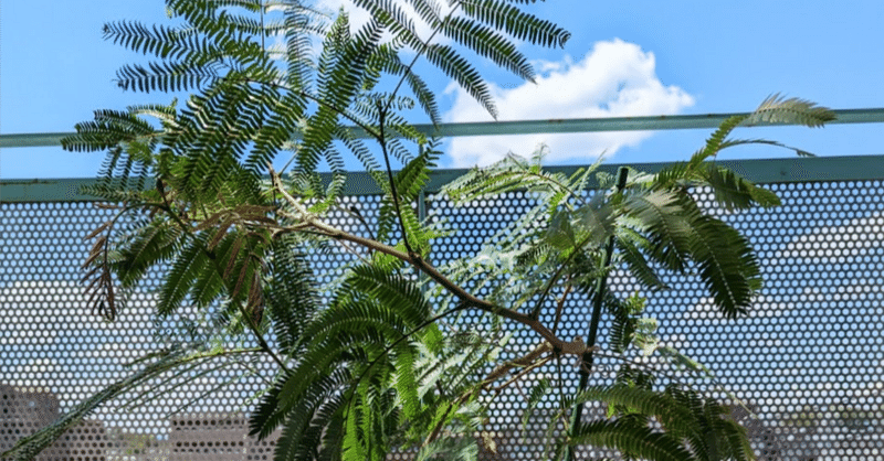 FRYX CGデザイナーのライフログ｜note