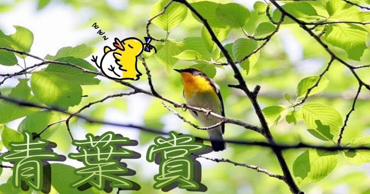 23話☆】4／27東京11R・青葉賞（バイトリーダーN）｜喫茶ラムネとバイトリーダーN