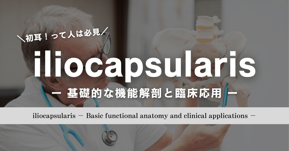 iliocapsularis ー基礎的な機能解剖と臨床応用ー｜たくみロドリゲス@理学療法士