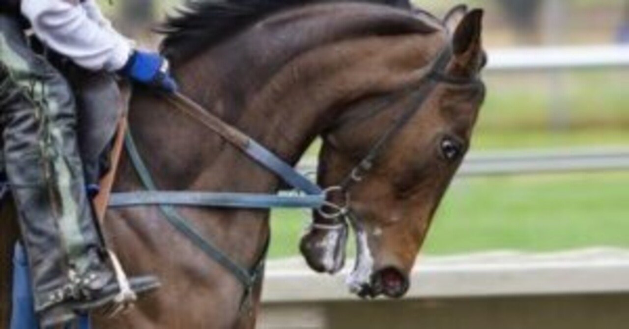 天皇賞春 馬連高配当予想 人気薄本命推奨｜12anauma