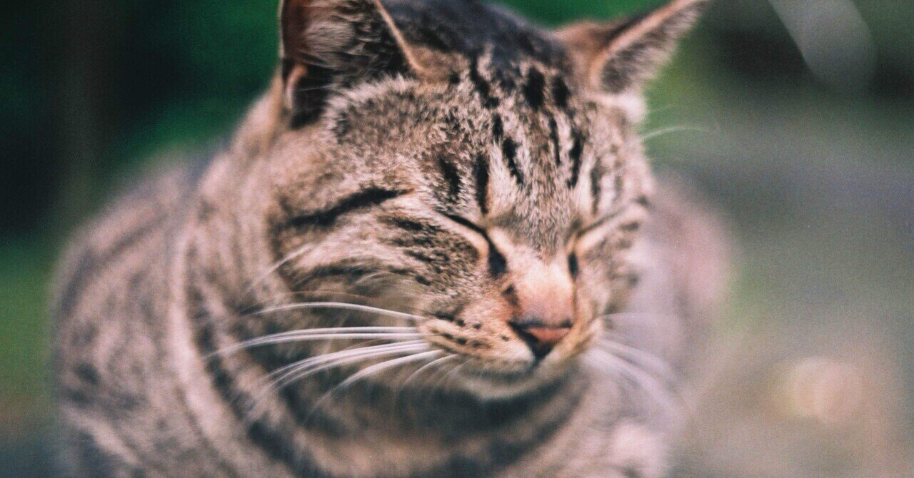 おかえりバルナック｜Tazki