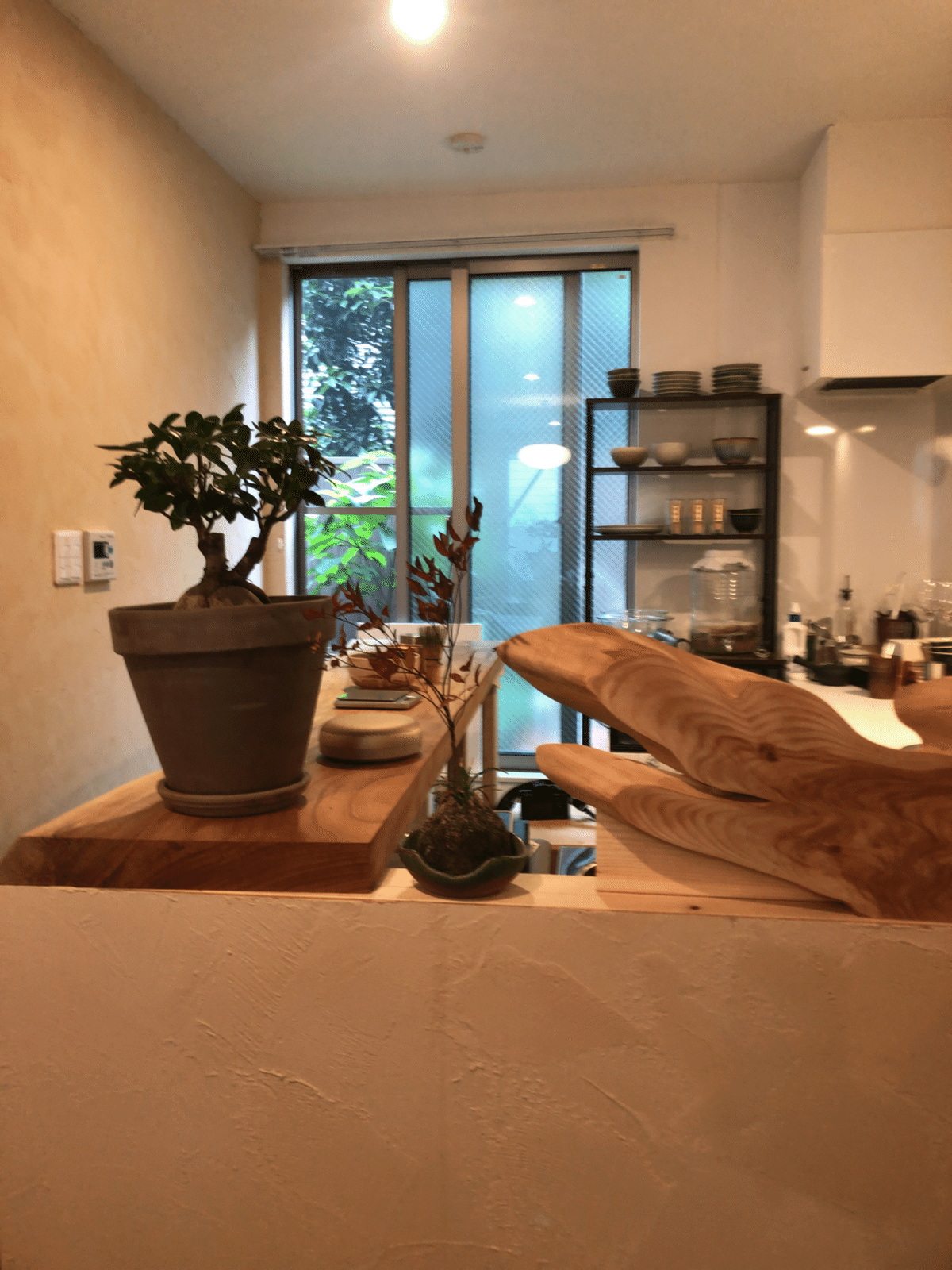 Wasachi、六本木の抹茶カフェに行ってみた 2024/04/27開始、2024/05/29更新｜Project HIBI