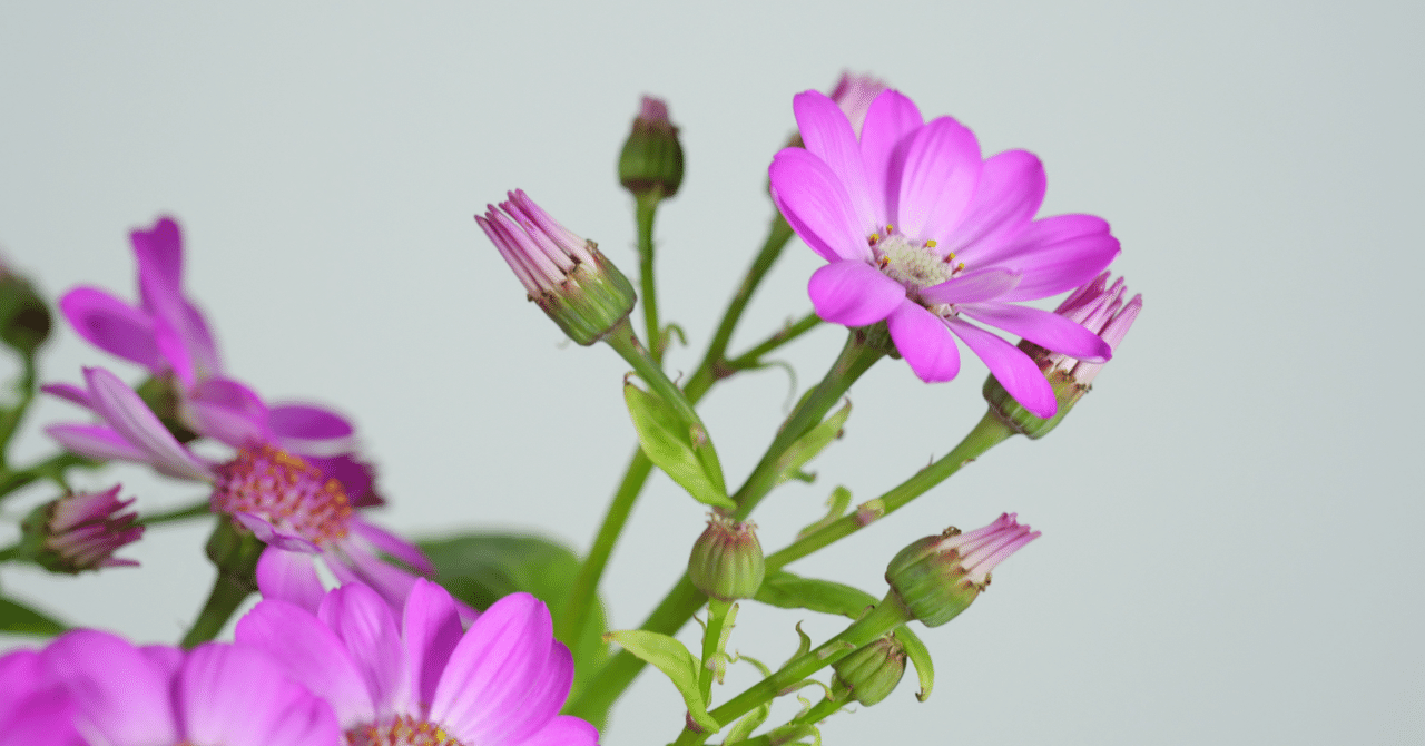 ubuntu 24.04 LTS hdd install その3｜blue06_2022