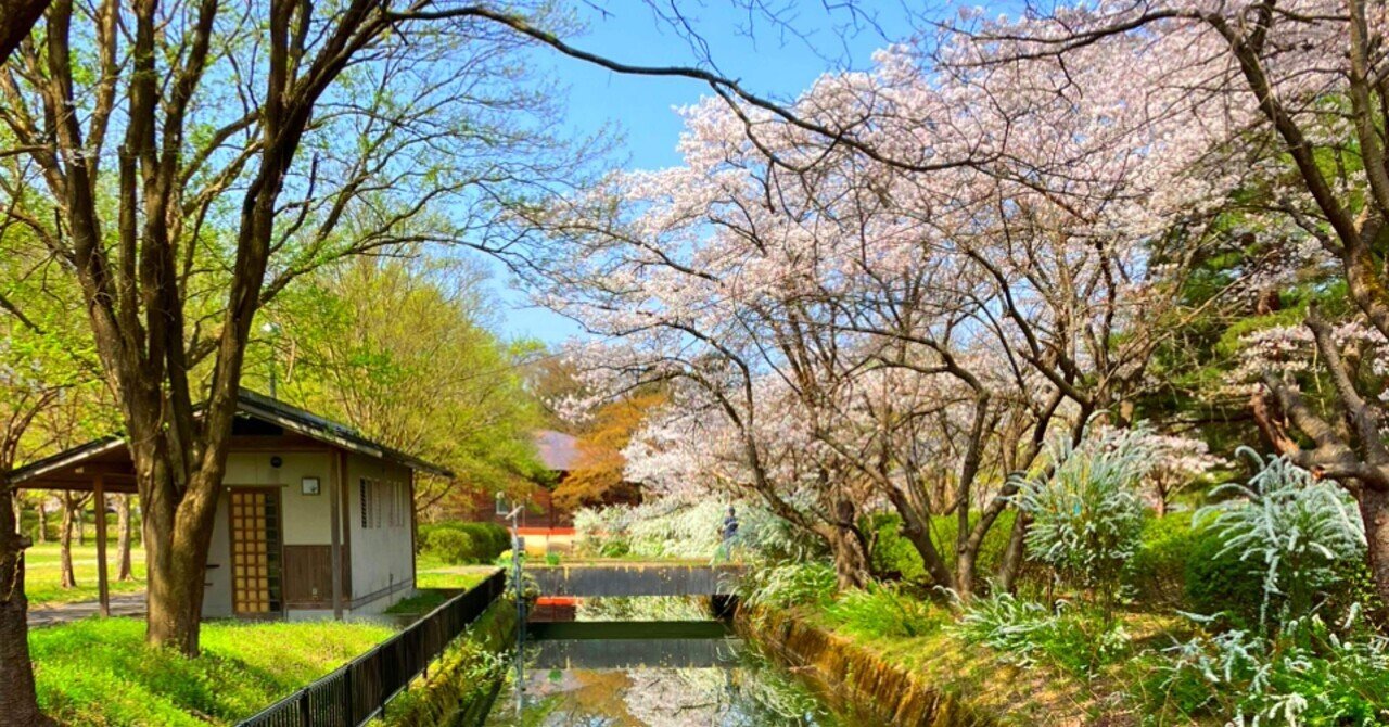 これが令和の新人指導だ！！｜ume_sendai