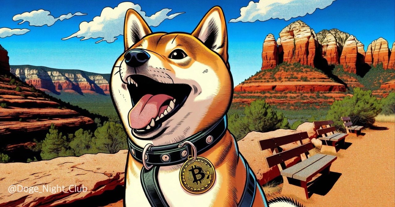 Bonk Crypto Airdrop: How to Participate and Benefit｜doge night club