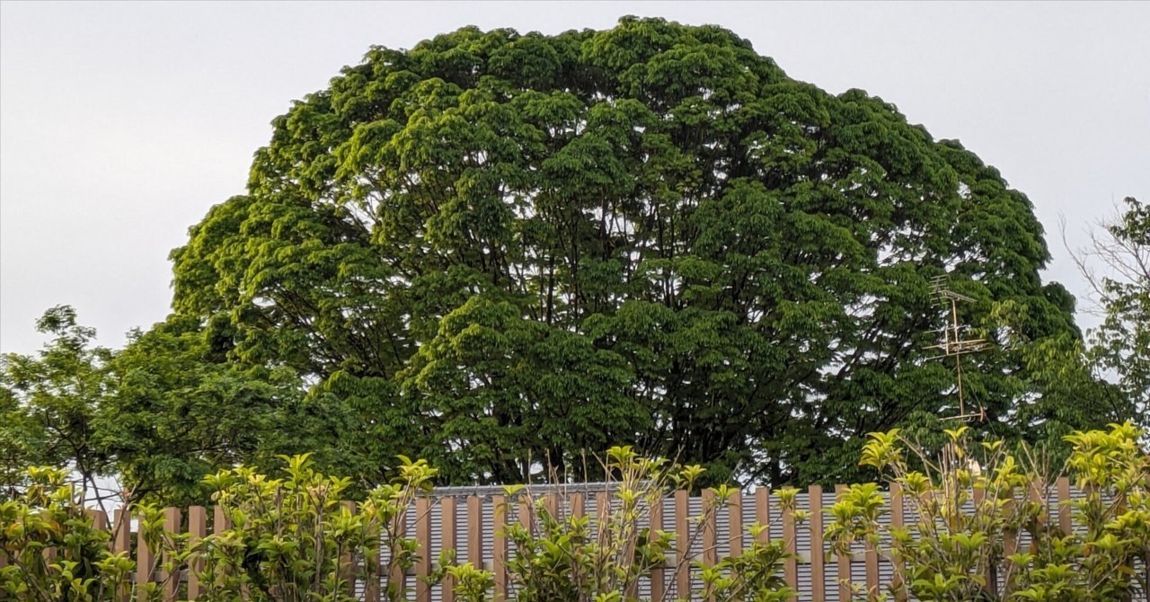 3巻268番~作者 長屋王｜ichiro70