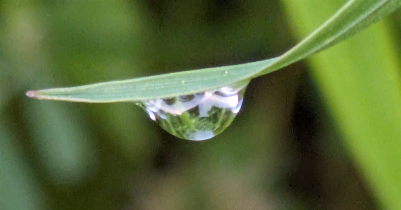 「織田作之助賞」受賞作家の小林長太郎と彼が残したブログ「負荷」と記事を忘れない〜#235｜ichiro70