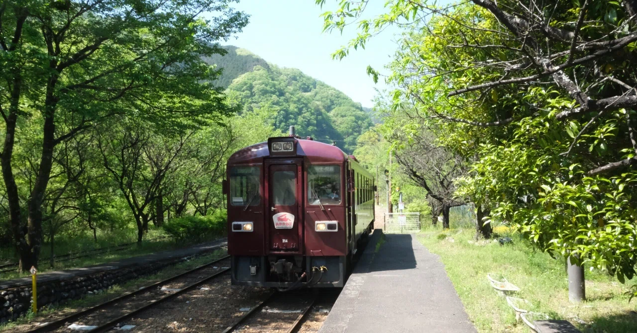 A trip where you can encounter three wonderful things in Japan〜Watarase ...