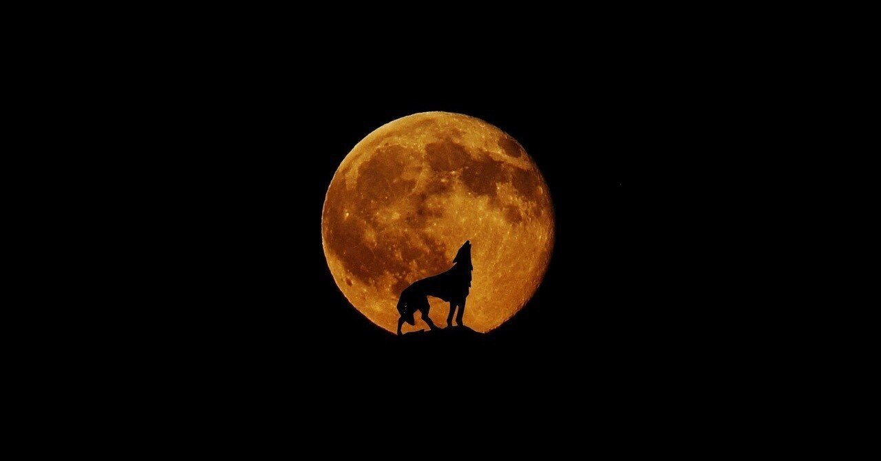 Dai競輪予想🐺|note