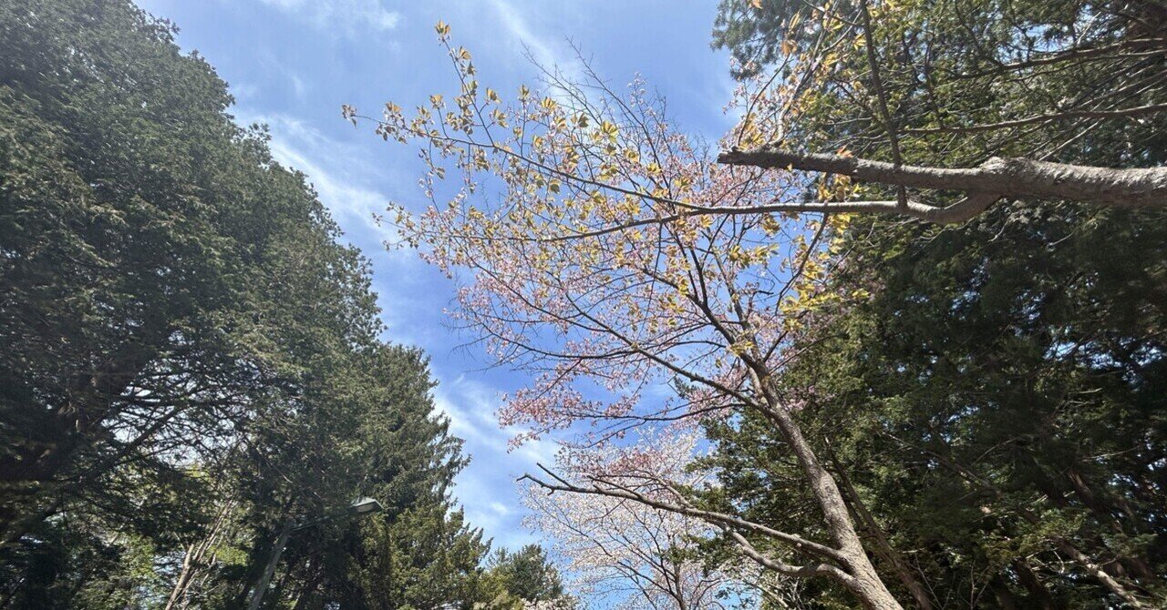 コツコツと｜yuka/sora