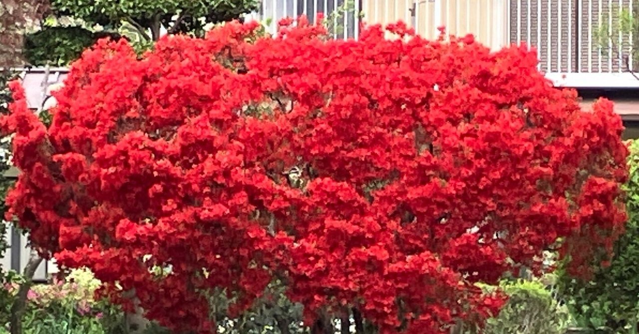 ふと・・・思う｜poporin