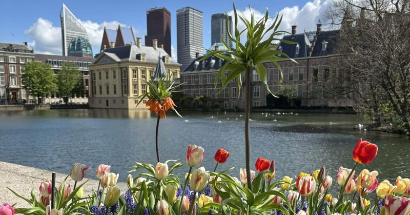 Yucco🇳🇱オランダ在住双子ママ｜note