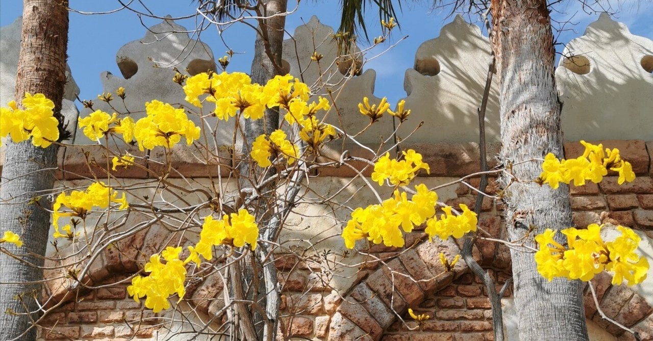 長い4月が終わります、自分よ励め｜ステンドグラス369 Yama