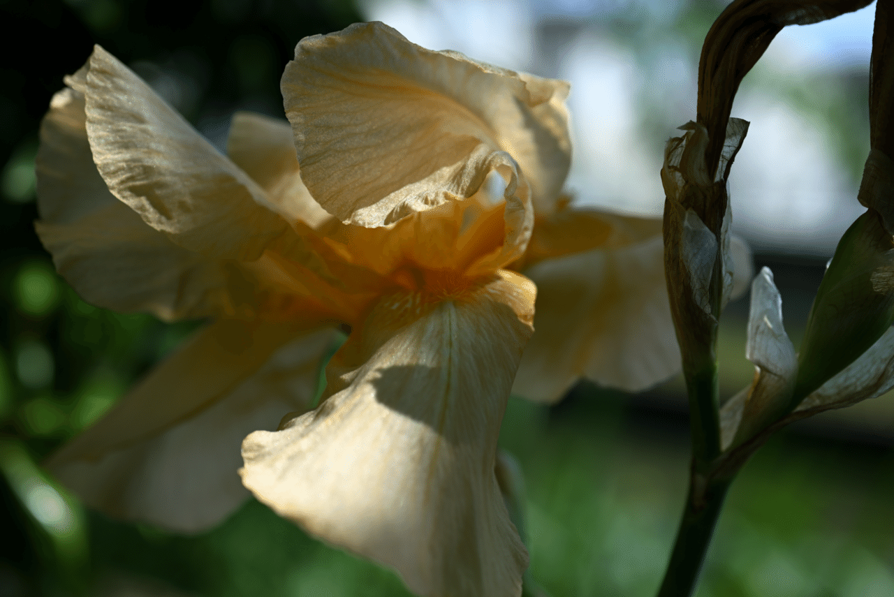 とにかく、眠りたい。｜Shinichi Sendagi