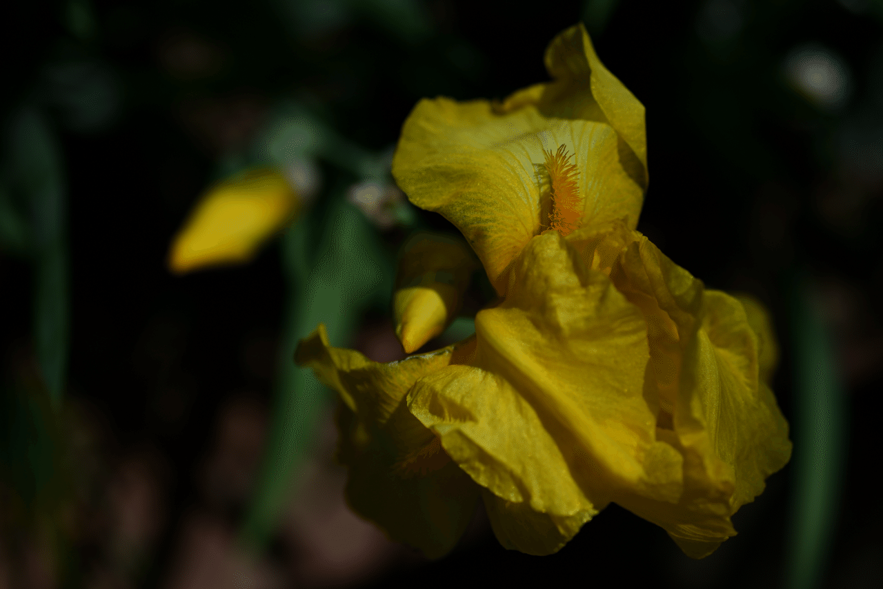 とにかく、眠りたい。｜Shinichi Sendagi