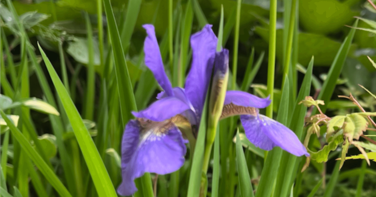 【TimeWaver】12次元ってどういうこと？｜TERRA-SACHI