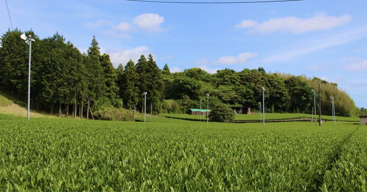 八十八夜｜micay_lala