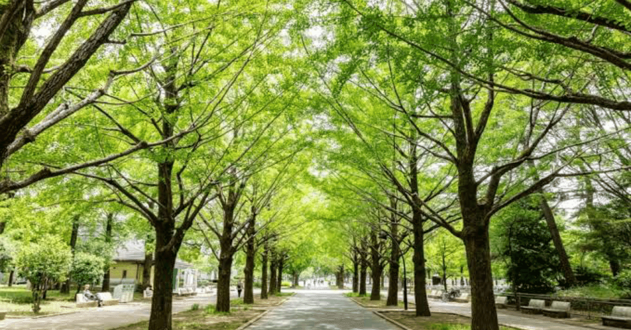 2024.04.30｜nobu.sato