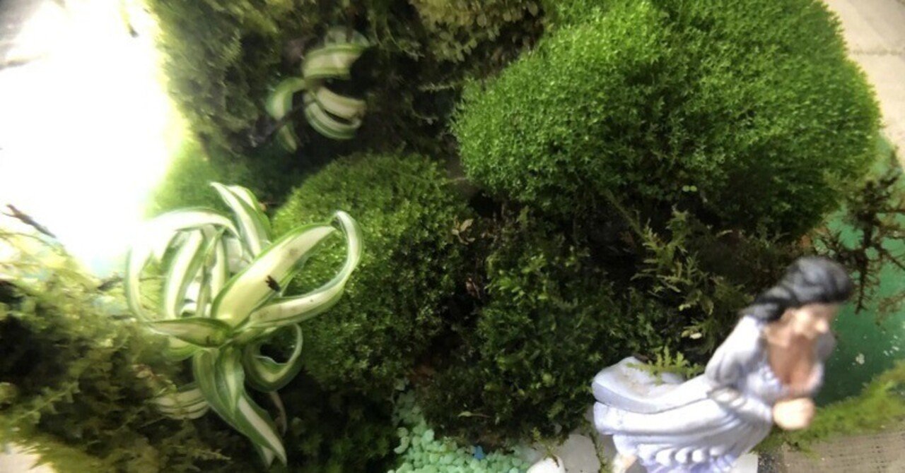 ふと・・・思う｜poporin