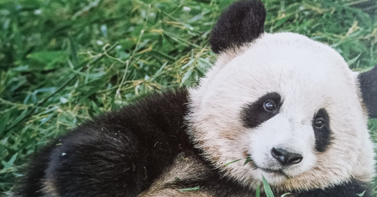 【肩書き】はいらない｜WAKU