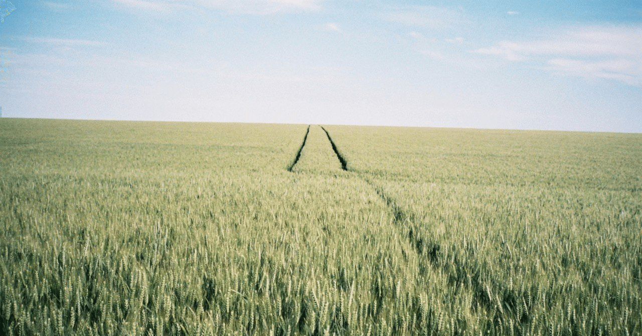 れもんハウスと読書｜yusuke