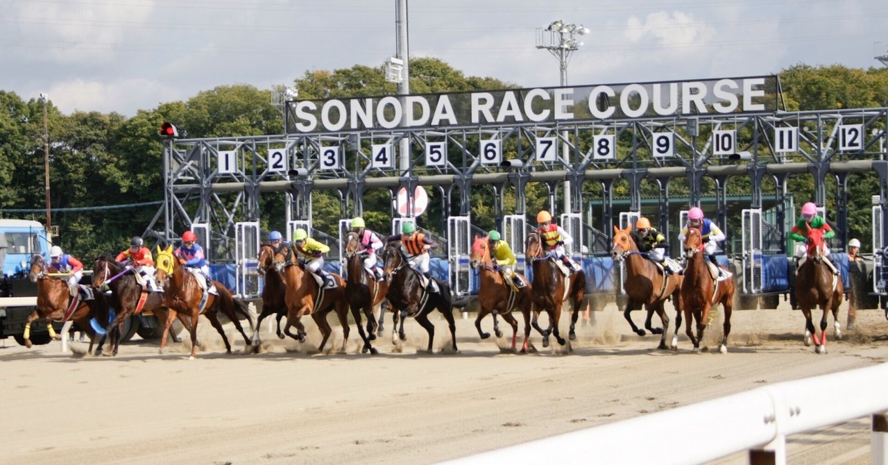 園田競馬【🔥👊🏇ss勝負レース🏇👊🔥】51（水）【5r】ミルクボーイ 園田競馬来場記念3歳c2（発走時刻1245）｜さやだま