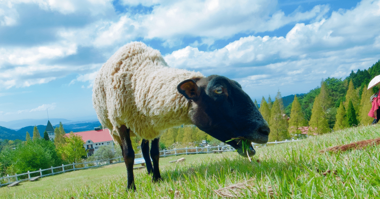 ＃026【絵本】ペレのあたらしいふく｜mbook.26