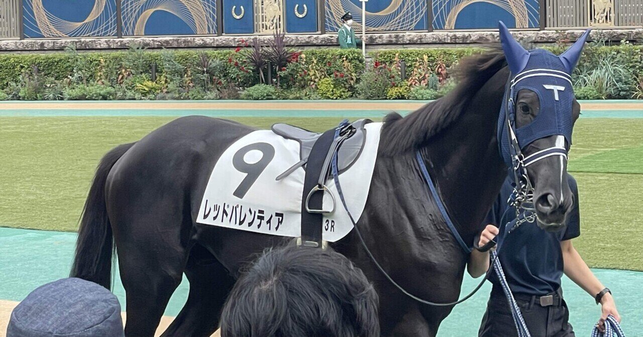 憎んでいました。競馬を③｜Lily Kobayashi